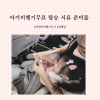 신생아비행기시기 서류 준비물 아기비행기무료 탑승 네이버 블로그